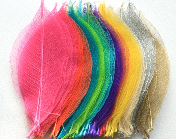 Mixed Colours Skeleton Leaf Collection - 100 Leaves per Pack - Etsy