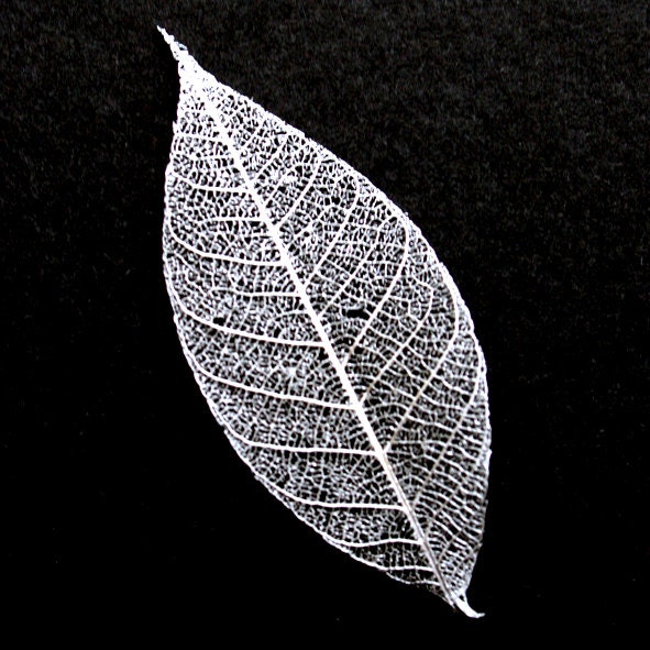 Silver Skeleton Leaves - Etsy