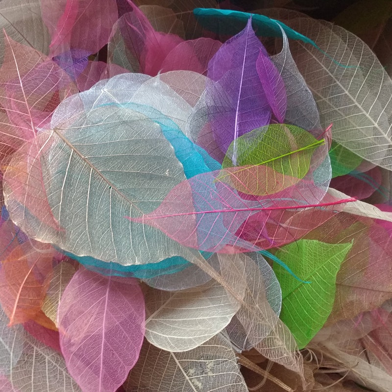 Skeleton Leaf Art - Etsy