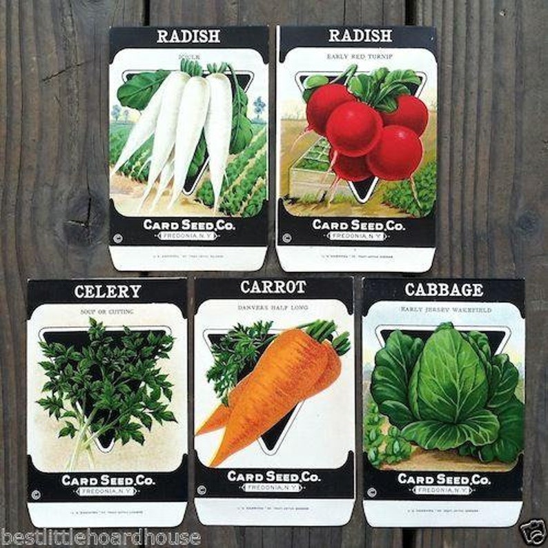 5 Vintage Original VEGETABLE SEED PACKS Set B Garden Collection 1920's ...
