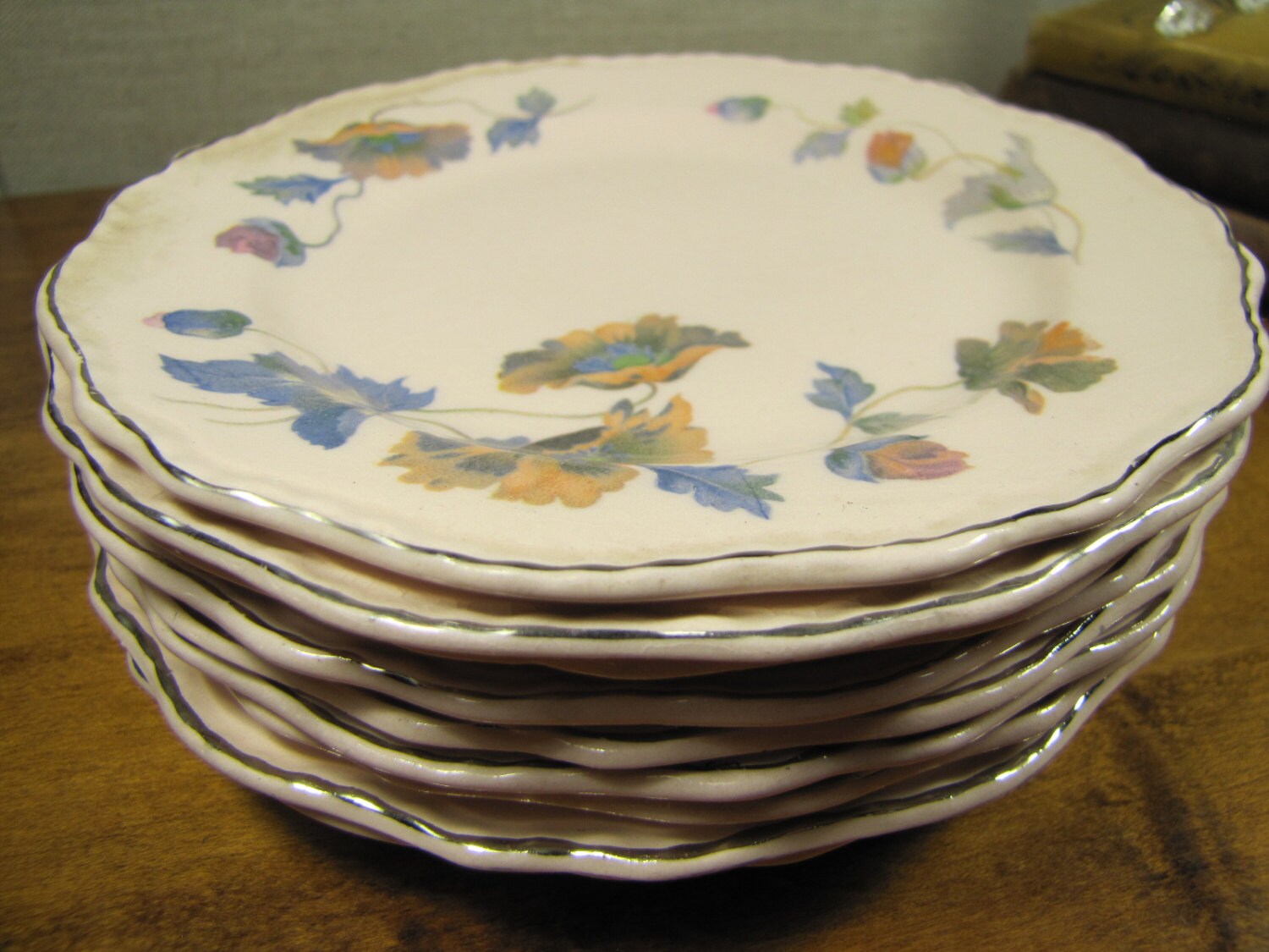 Set of Nine 9 Steubenville Rose Dawn Bread and Butter | Etsy