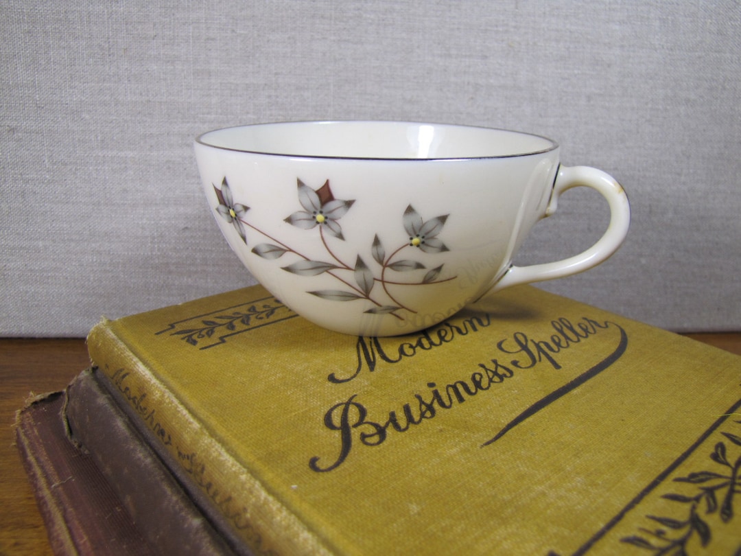 Vintage Lenox Porcelain Teacup - Princess Pattern - Gray Flowers ...
