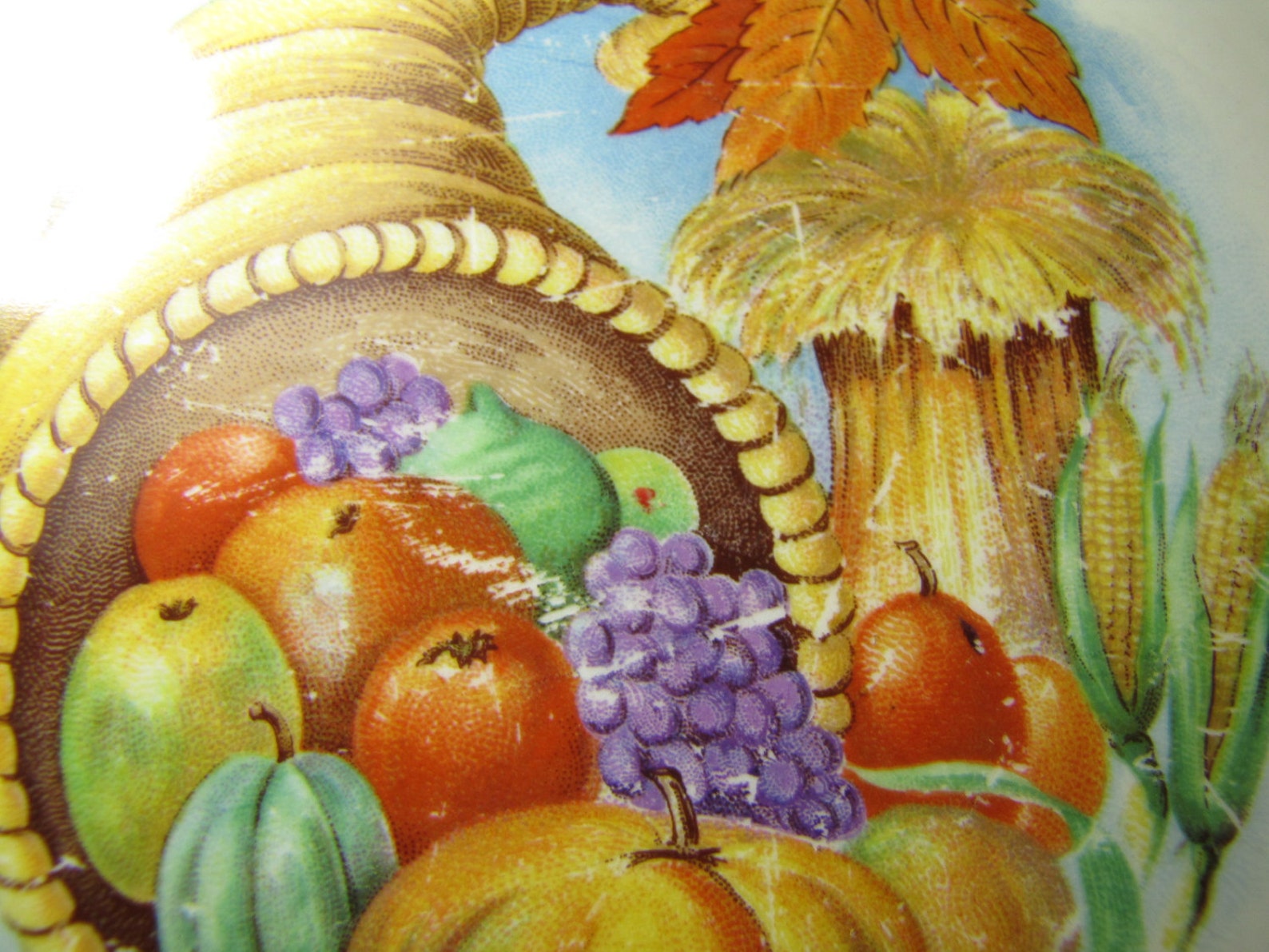 Vintage Cornucopia Plates - Wide Rim - Set of Two (2) - Etsy