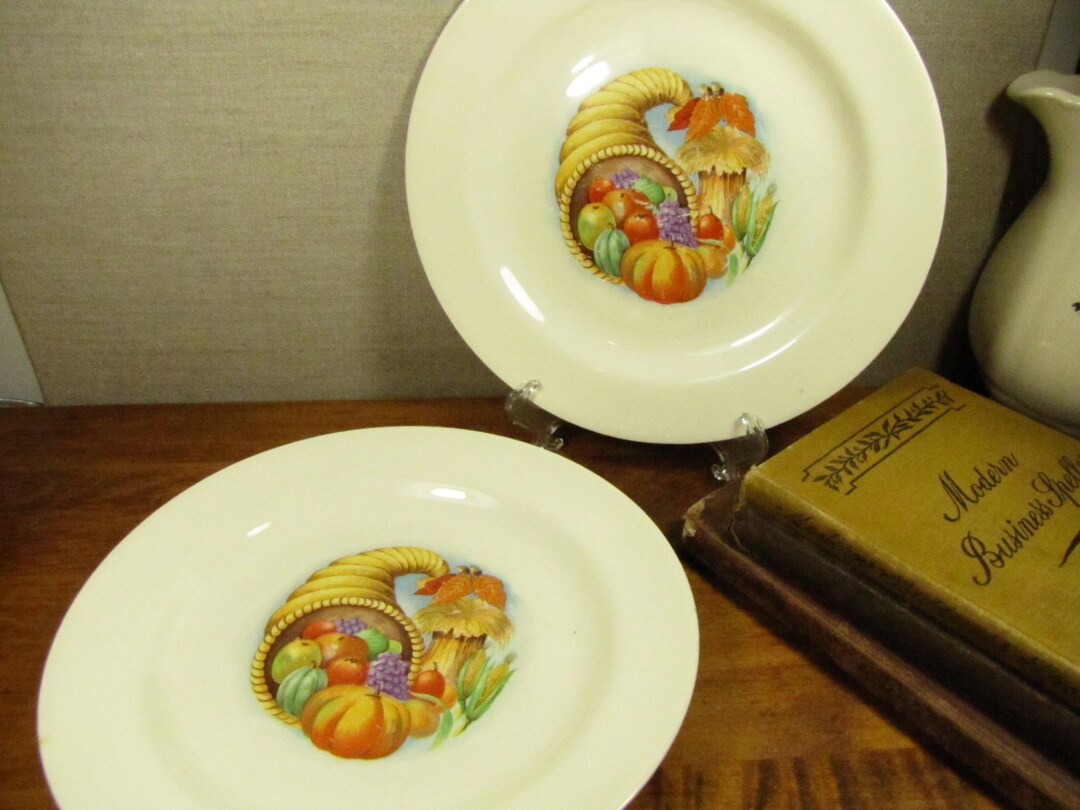 Vintage Cornucopia Plates - Wide Rim - Set of Two (2) - Etsy