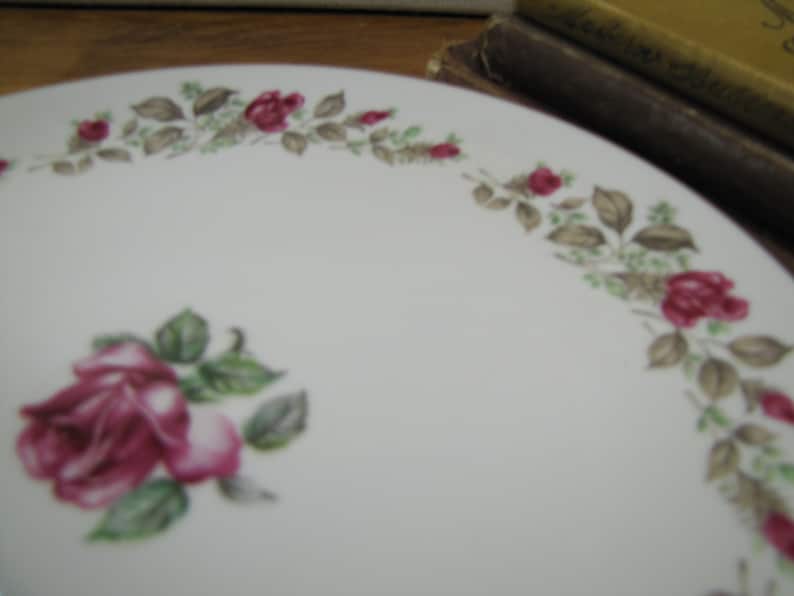 Diamond China - Moss Rose Pattern - Dinner Plate - Gold Accent - Etsy