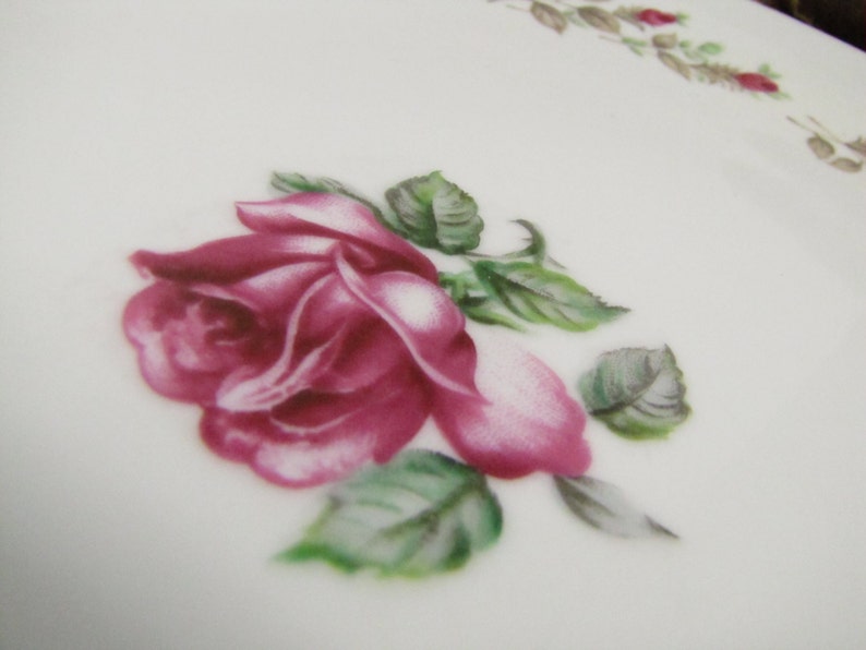 Diamond China - Moss Rose Pattern - Dinner Plate - Gold Accent - Etsy