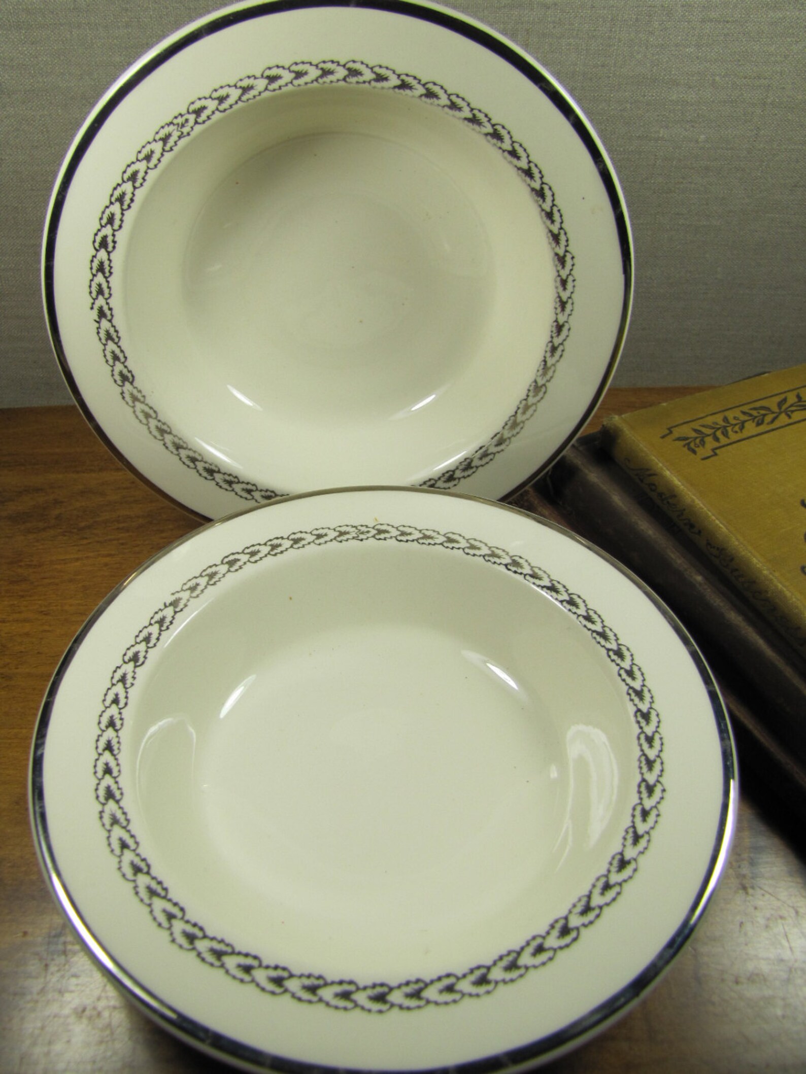 Shallow, Wide Rimmed Soup Bowls - Platinum Accent - Set of Two (2) - Etsy