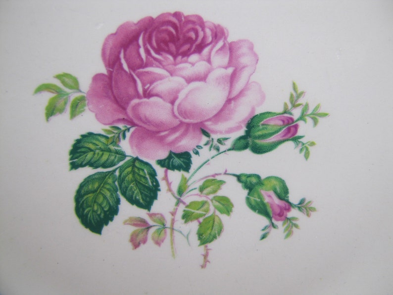 Vintage Plate Pink Rose and Rosebuds Scalloped Rim Gold - Etsy