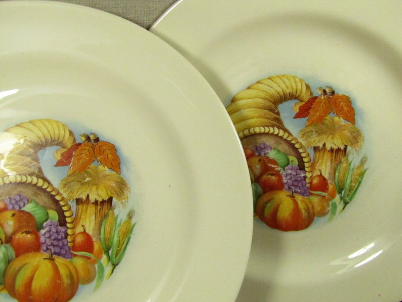Vintage Cornucopia Plates - Wide Rim - Set of Two (2) - Etsy