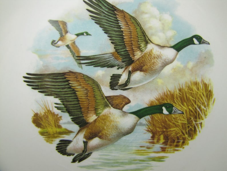 Weatherby Hanley Royal Falcon Ware Plate Flying Geese - Etsy