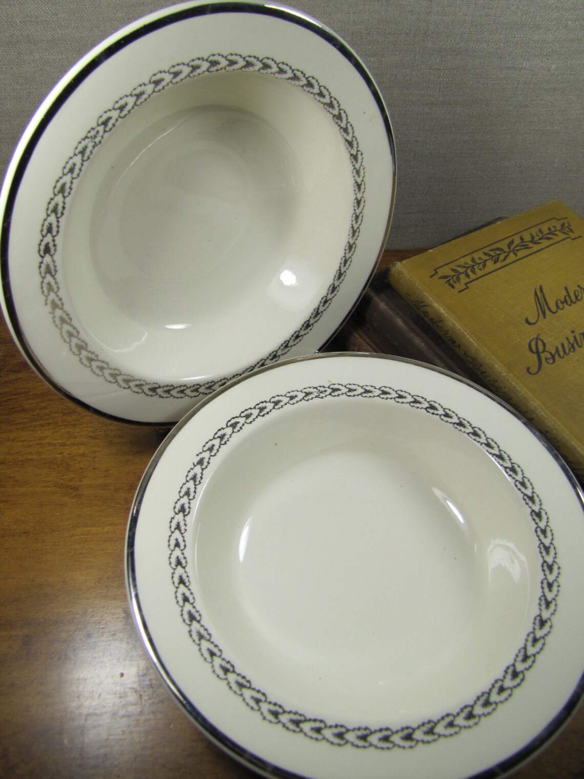 Shallow, Wide Rimmed Soup Bowls - Platinum Accent - Set of Two (2) - Etsy