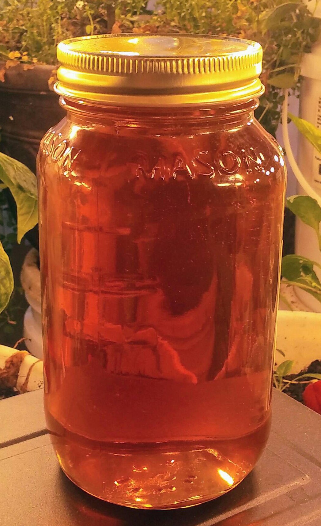 Pure Sourwood Honey 2 Pounds From NC FREE SHIPPING Etsy Pure Sourwood Honey 2 Pounds From NC FREE SHIPPING Etsy