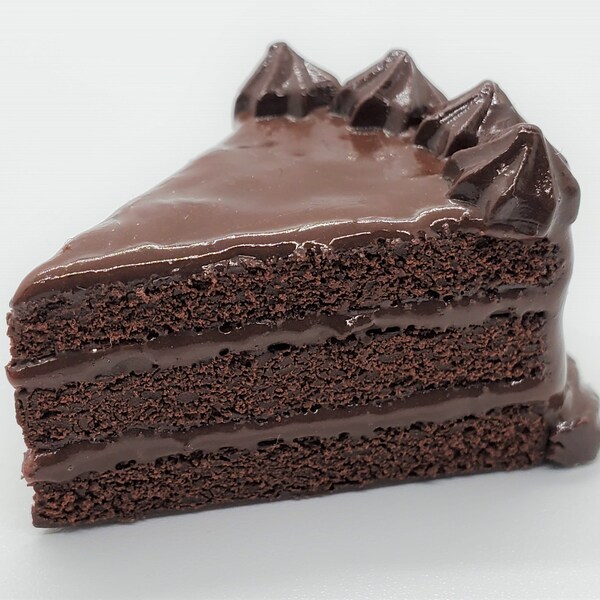 Polymer Clay Magnet - Etsy