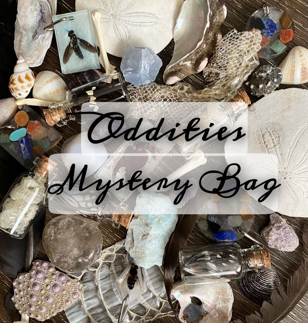 Oddities Witch Craft Natural History Mystery Box - Etsy