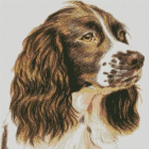 Cross Stitch Chart or Complete Kit English Springer Spaniel Dog - Etsy