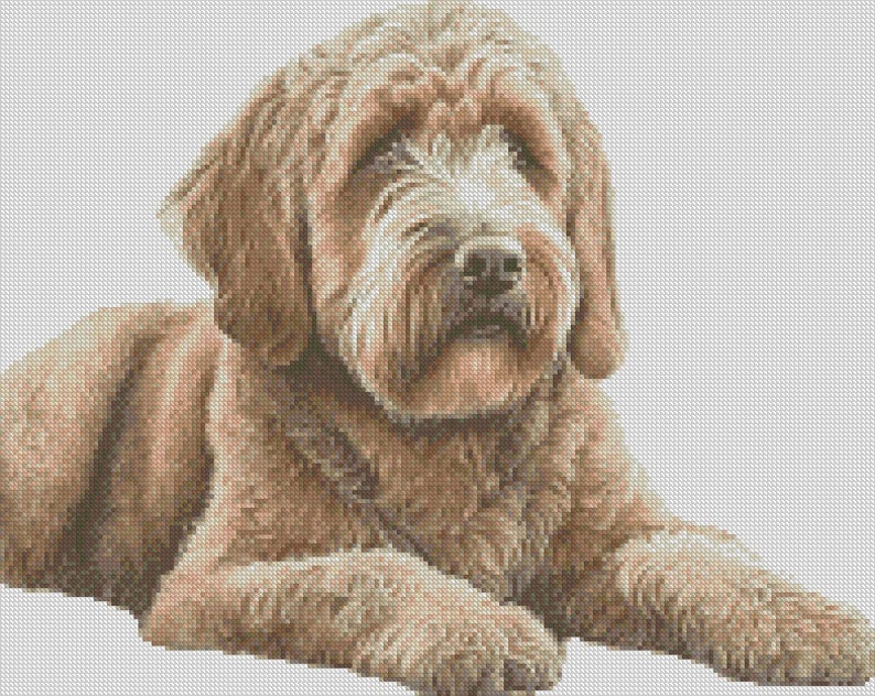 Labradoodle Dog 3 Counted Cross Stitch Chart or Complete Kit - Etsy