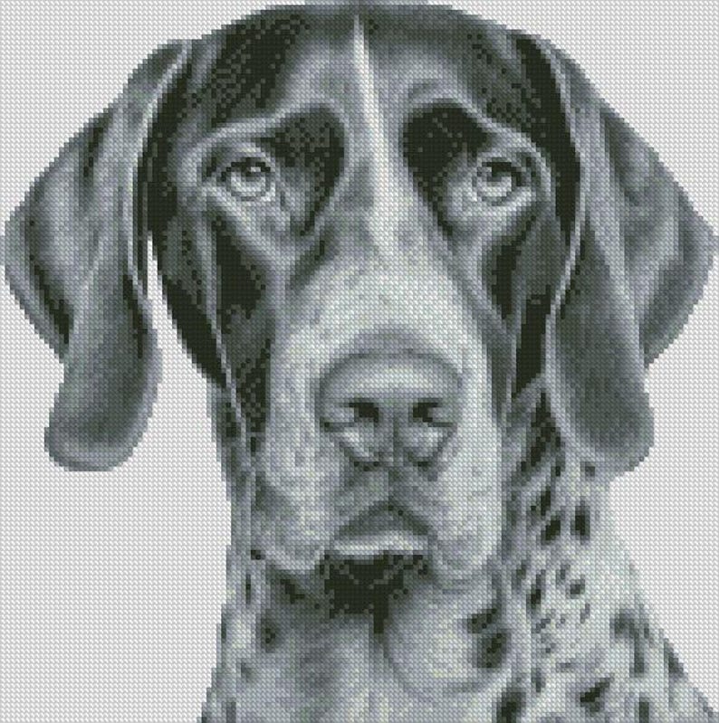 German Shorthaired Pointer Dog 1 Cross Stitch Chart Instant Download ...