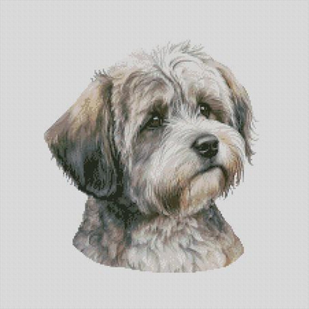 Havanese Dog 3 Cross Stitch Chart Instant Download PDF Pattern Keeper ...