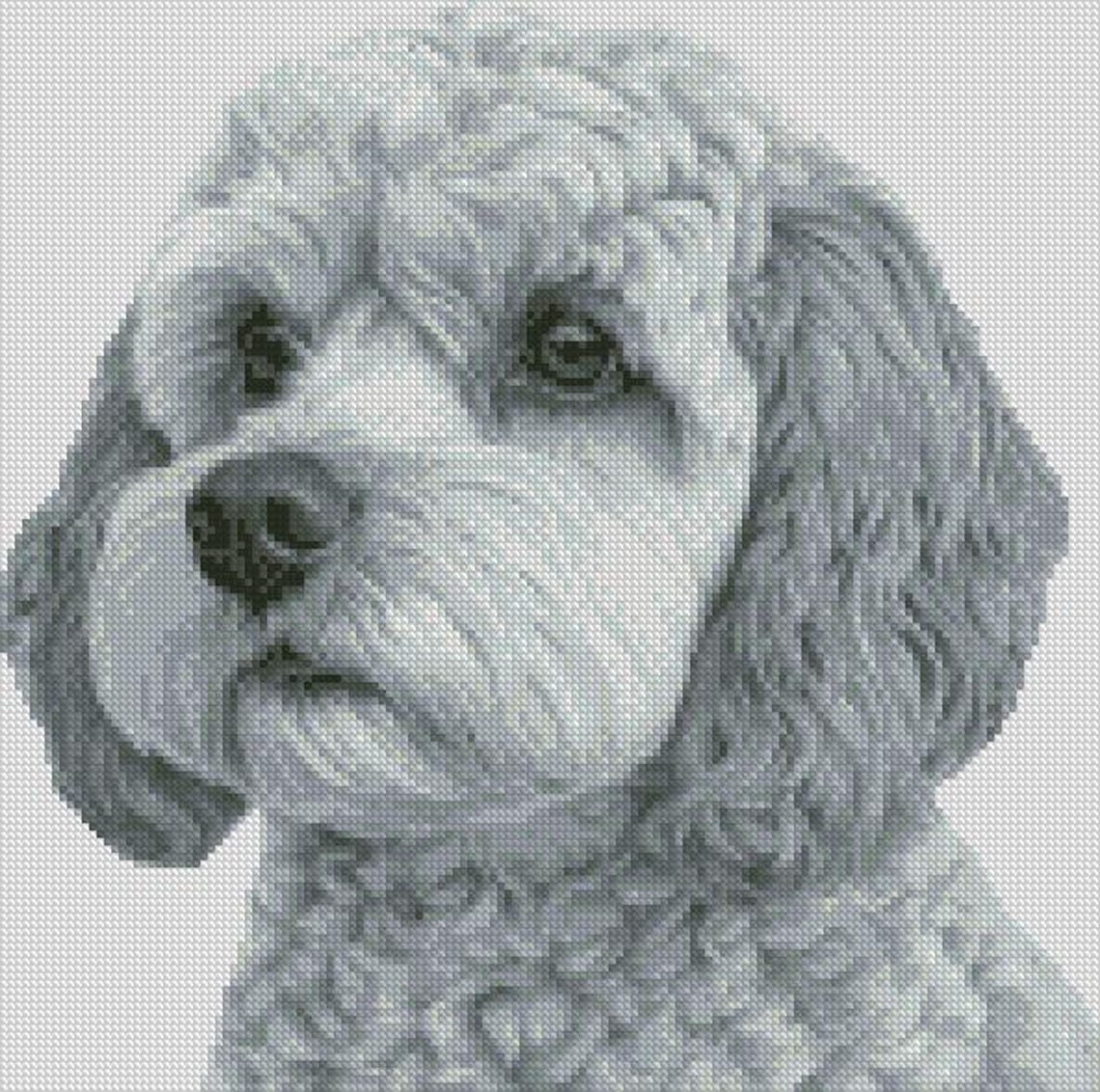 Cavapoo Dog 2 Cross Stitch Chart Instant Download PDF Pattern Keeper ...