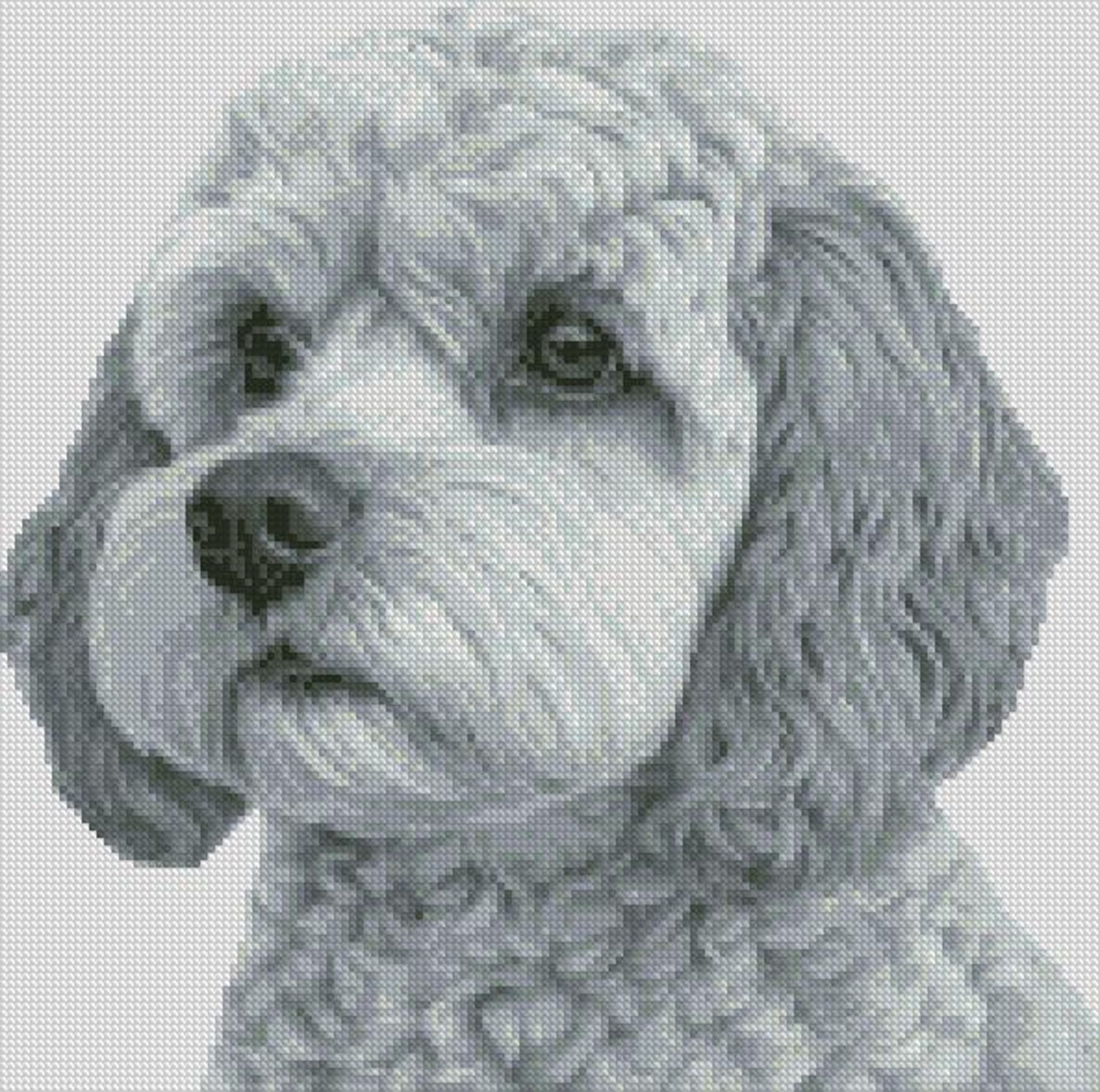 Cavapoo Dog 2 Cross Stitch Chart Instant Download PDF Pattern Keeper ...