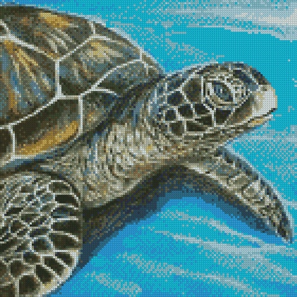 Turtle Cross Stitch - Etsy