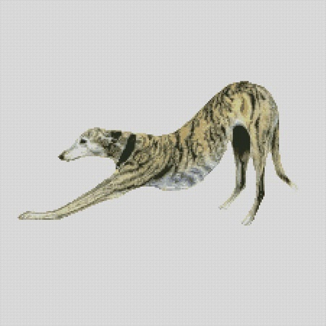 Greyhound Dog and Stretch 1 Cross Stitch Chart Instant Download PDF ...