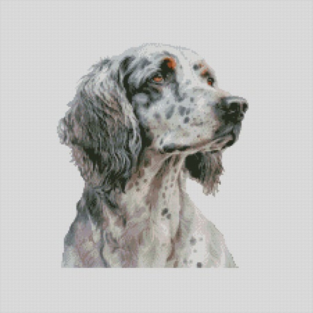 English Setter Dog 1 Cross Stitch Chart Instant Download PDF Pattern ...