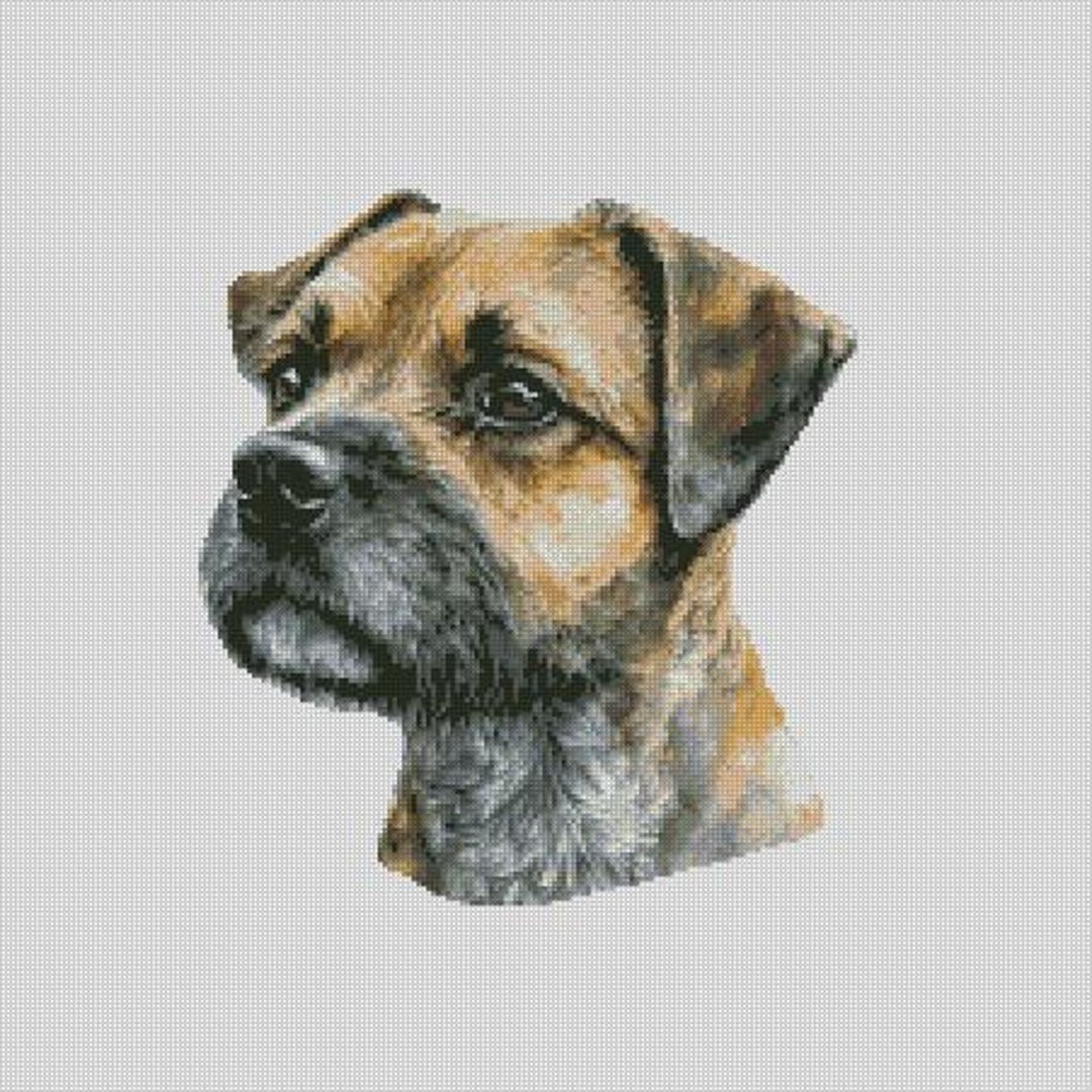 Border Terrier Dog 7 Cross Stitch Chart Instant Download PDF Pattern ...