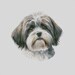 Havanese Dog 1 Cross Stitch Chart Instant Download PDF Pattern Keeper ...