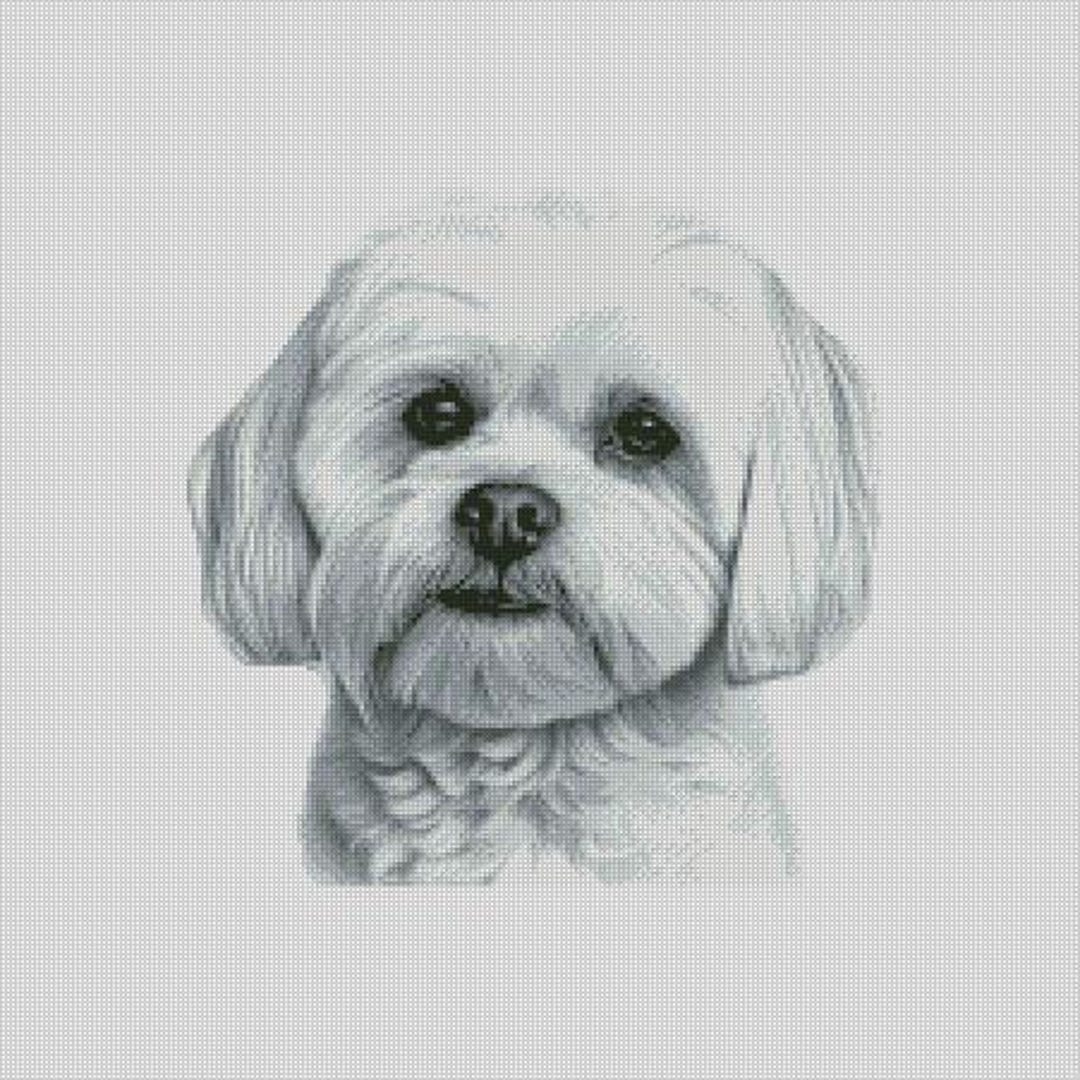Maltese Dog 2 Counted Cross Stitch Chart or Complete Kit - Etsy