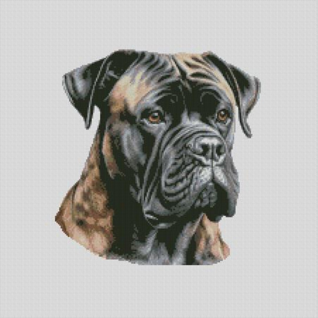 Cane Corso Dog 2 Cross Stitch Chart Instant Download PDF Pattern Keeper ...
