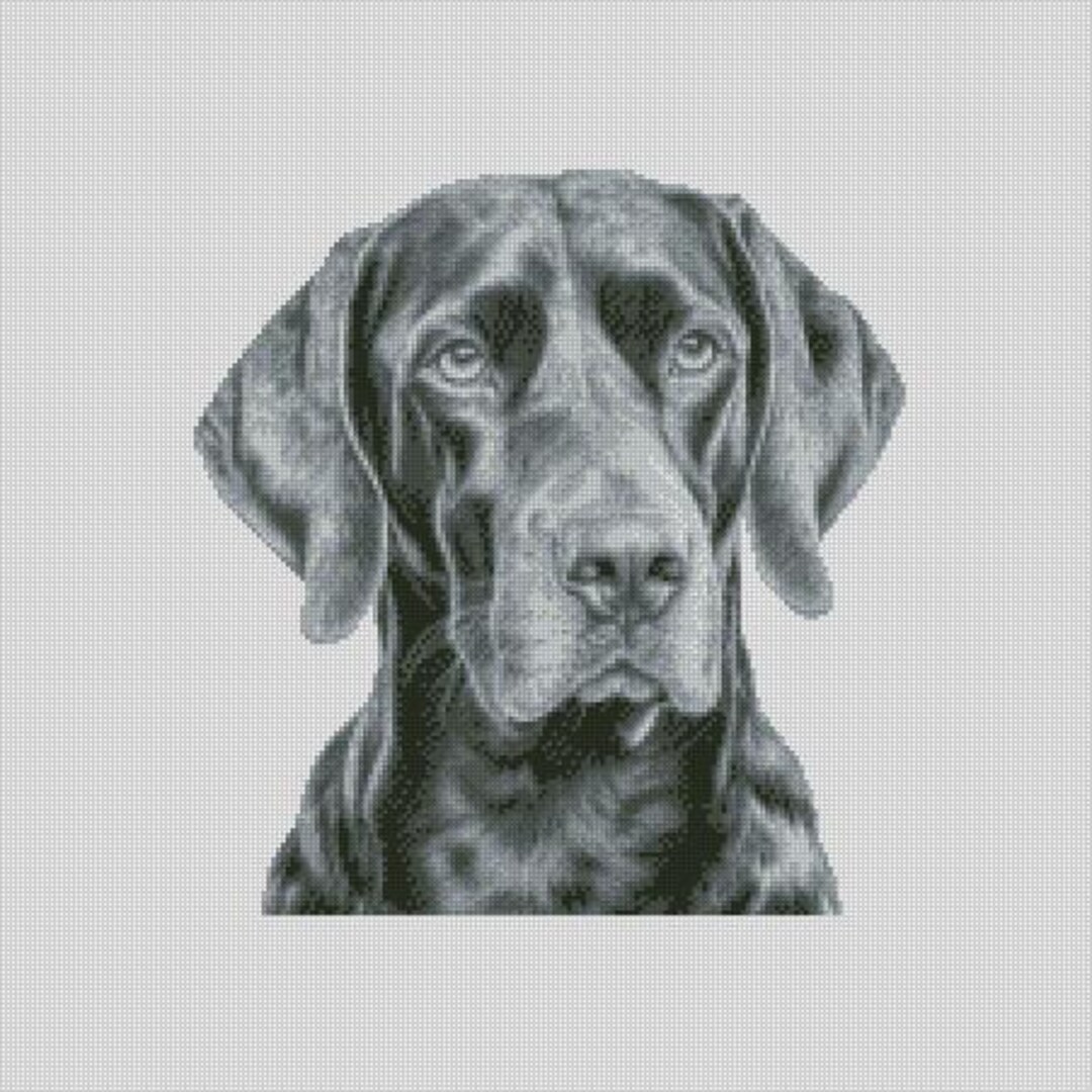 German Shorthaired Pointer Dog 2 Cross Stitch Chart Instant Download ...