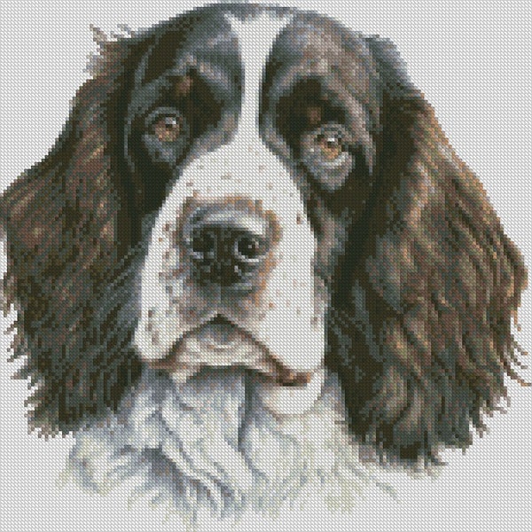English Springer - Etsy