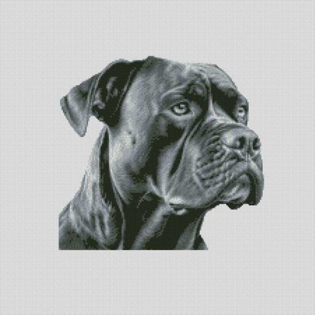 Cane Corso Dog 2 Counted Cross Stitch Chart or Complete Kit - Etsy