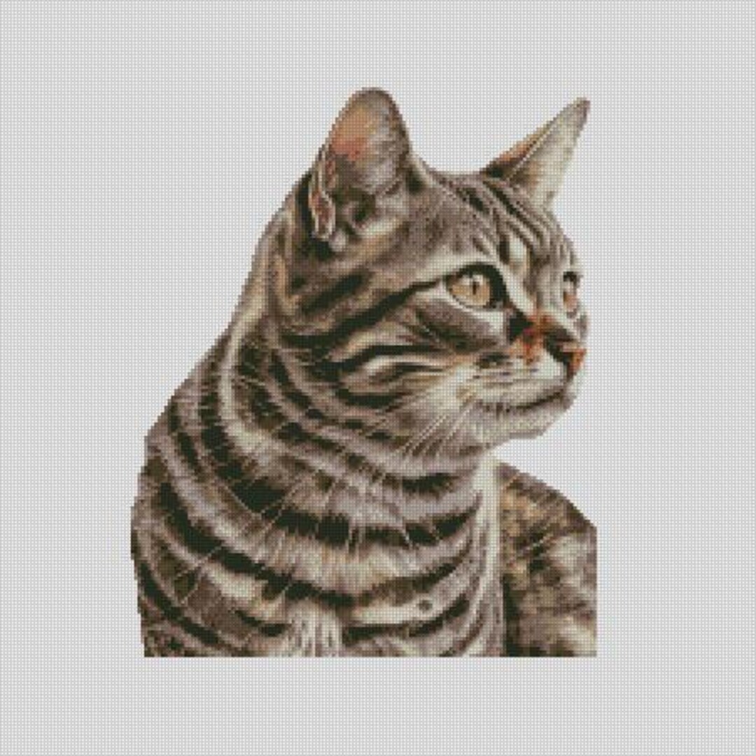 Tabby Cat Cross Stitch Chart Instant Download PDF Pattern Keeper ...