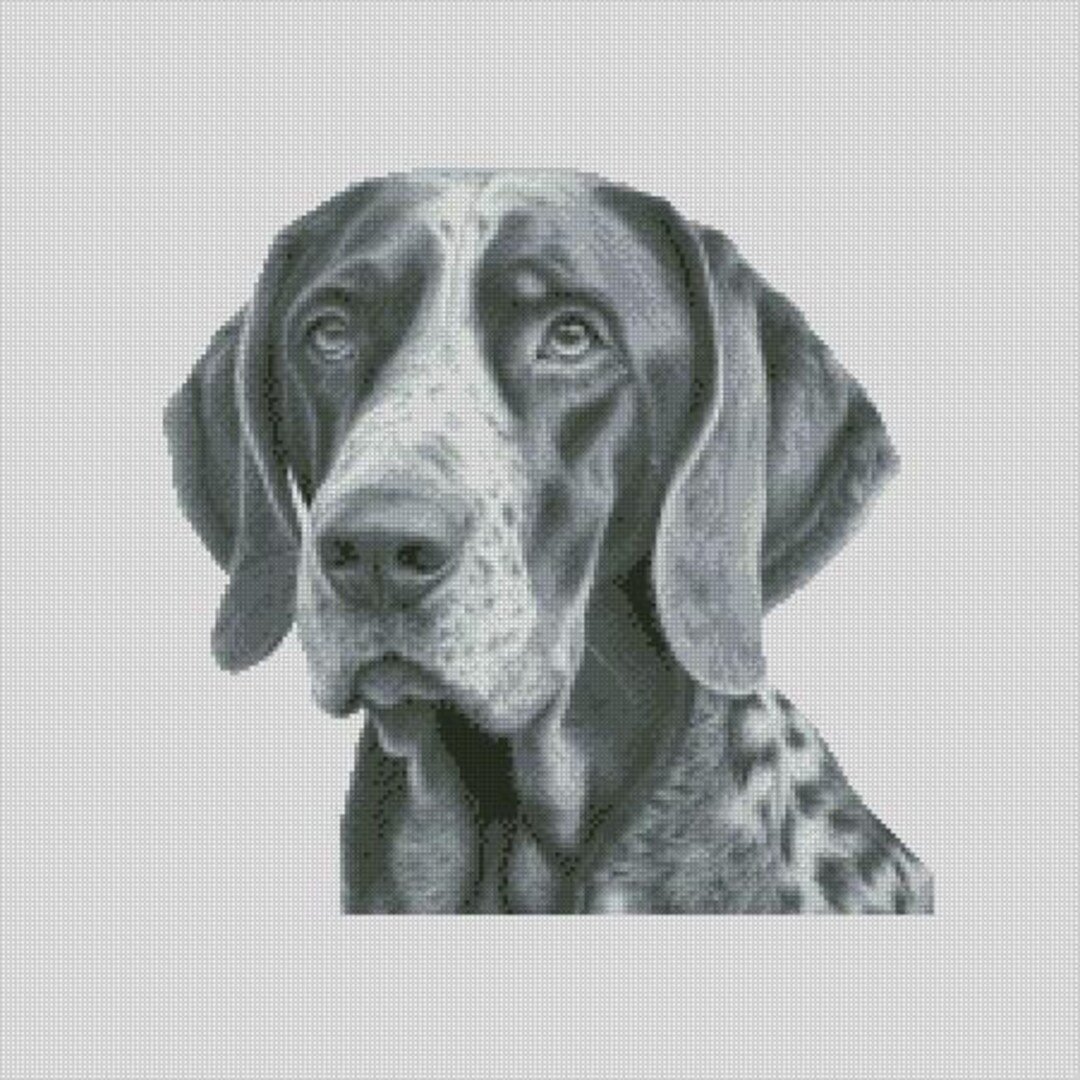 Bluetick Coonhound Dog 1 Cross Stitch Chart Instant Download PDF ...