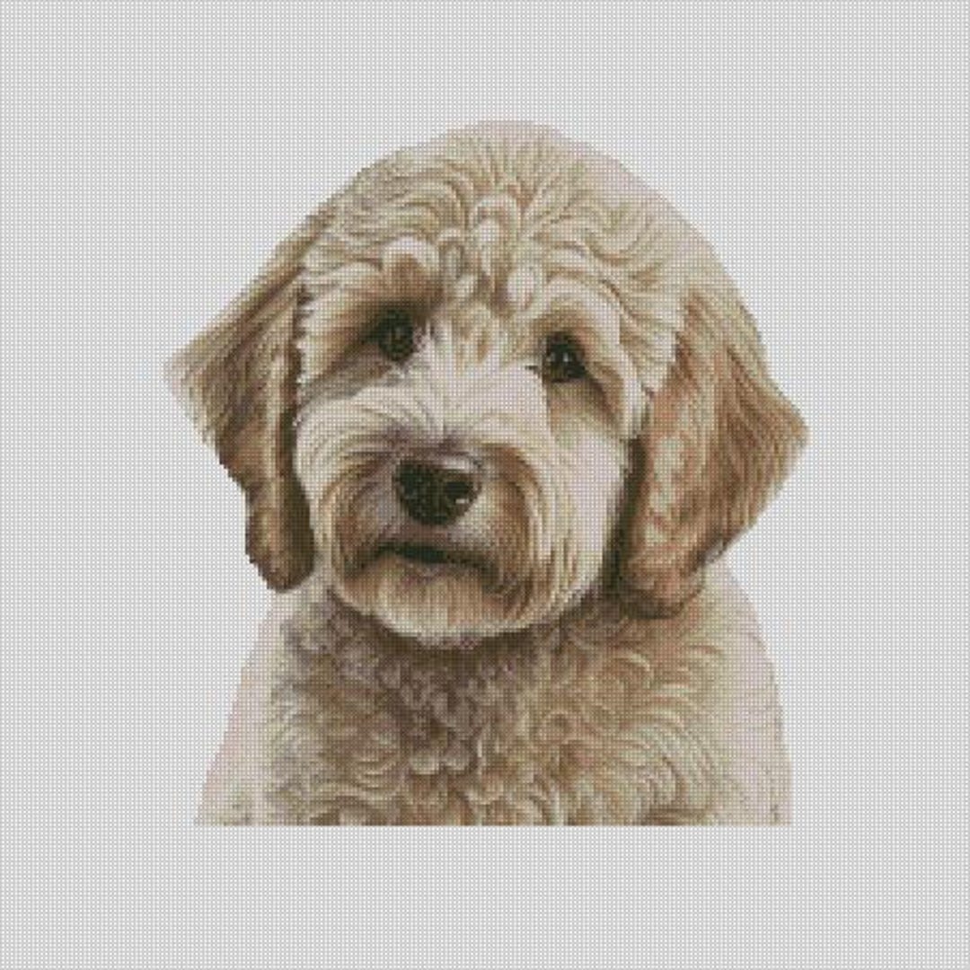 Labradoodle Dog 4 Cross Stitch Chart Instant Download PDF Pattern ...