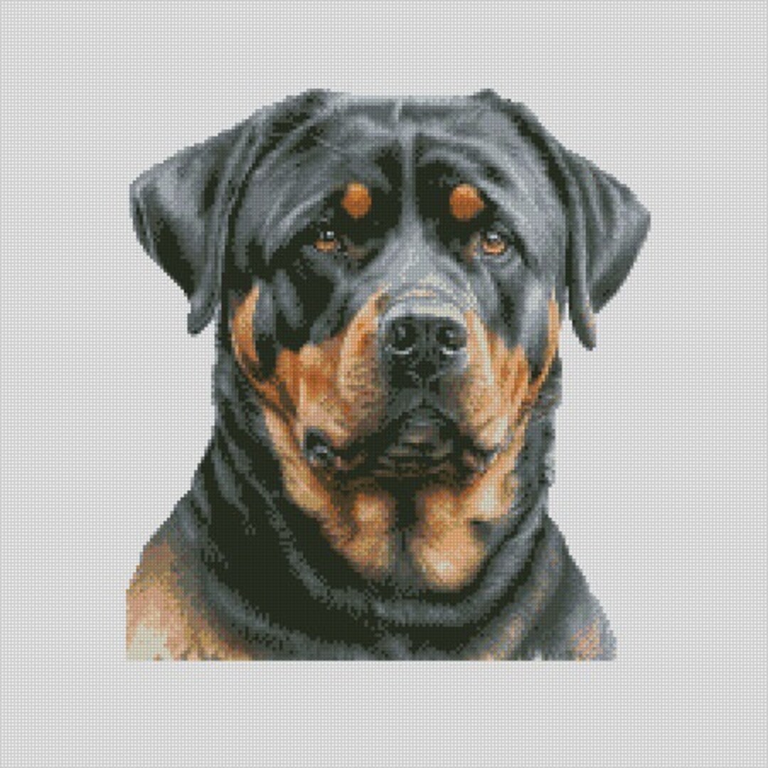Rottweiler Dog 3 Cross Stitch Chart Instant Download PDF Pattern Keeper ...