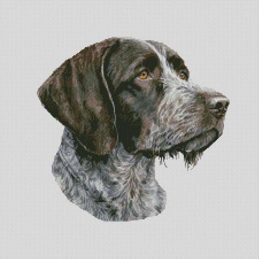 German Wirehaired Pointer Dog 6 Counted Cross Stitch Chart or Complete ...