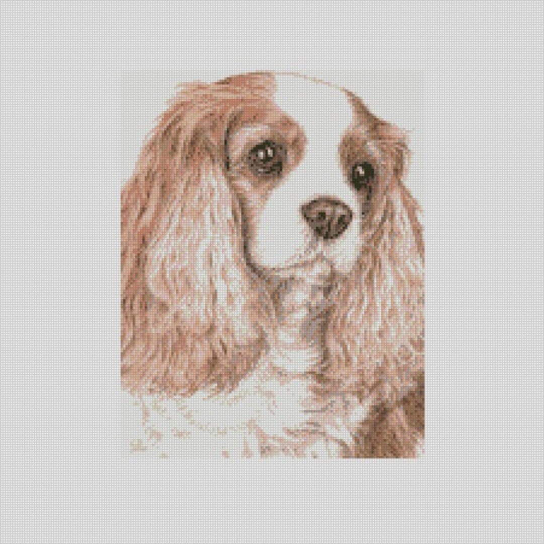 Cavalier King Charles Spaniel Dog Cross Stitch Chart Instant Download ...