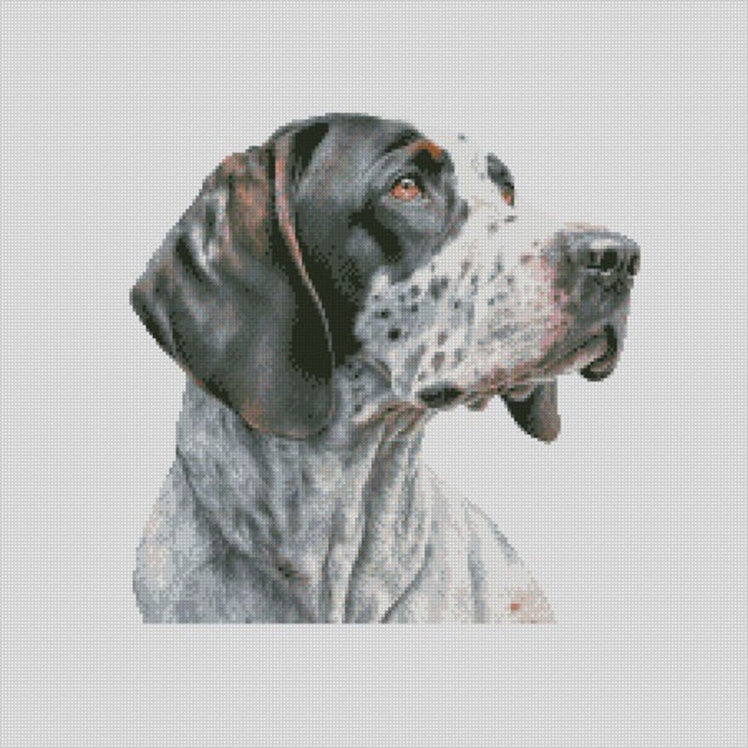 Counted Cross Stitch Chart or Complete Kit English Pointer Dog 2 - Etsy