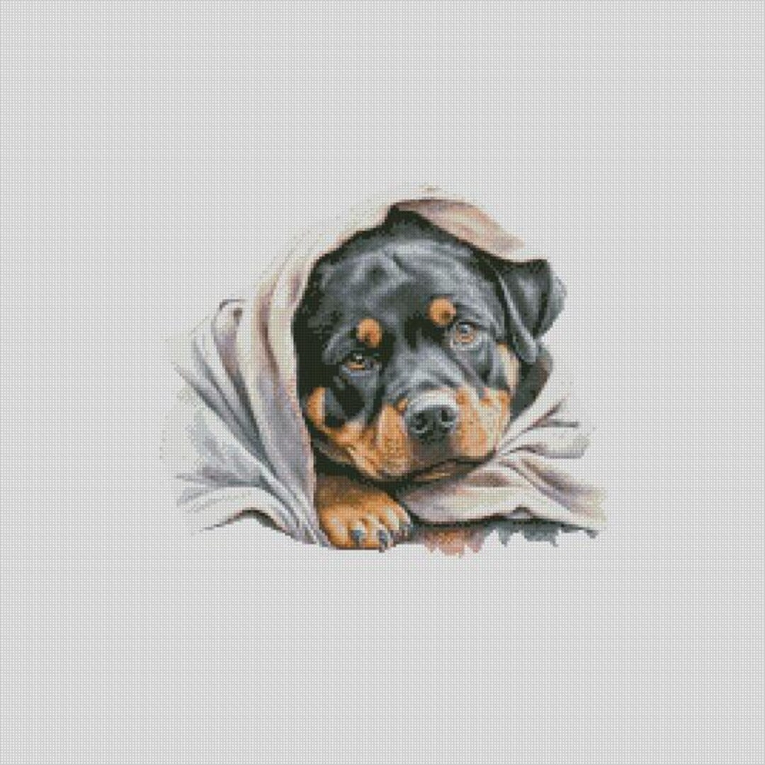 Rottweiler Puppy 6 Counted Cross Stitch Chart Only or Complete Kit - Etsy