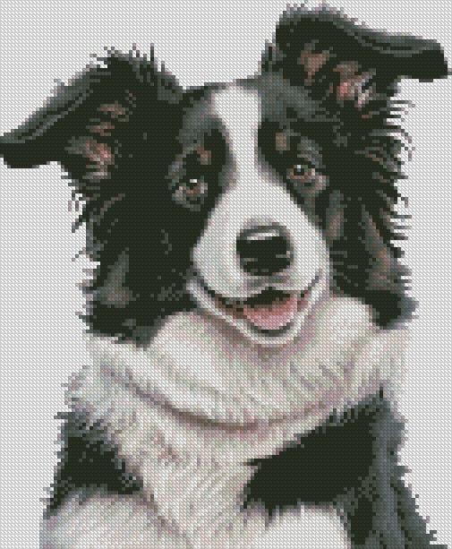 Border Collie Dog 1 Cross Stitch Chart Instant Download PDF Pattern ...
