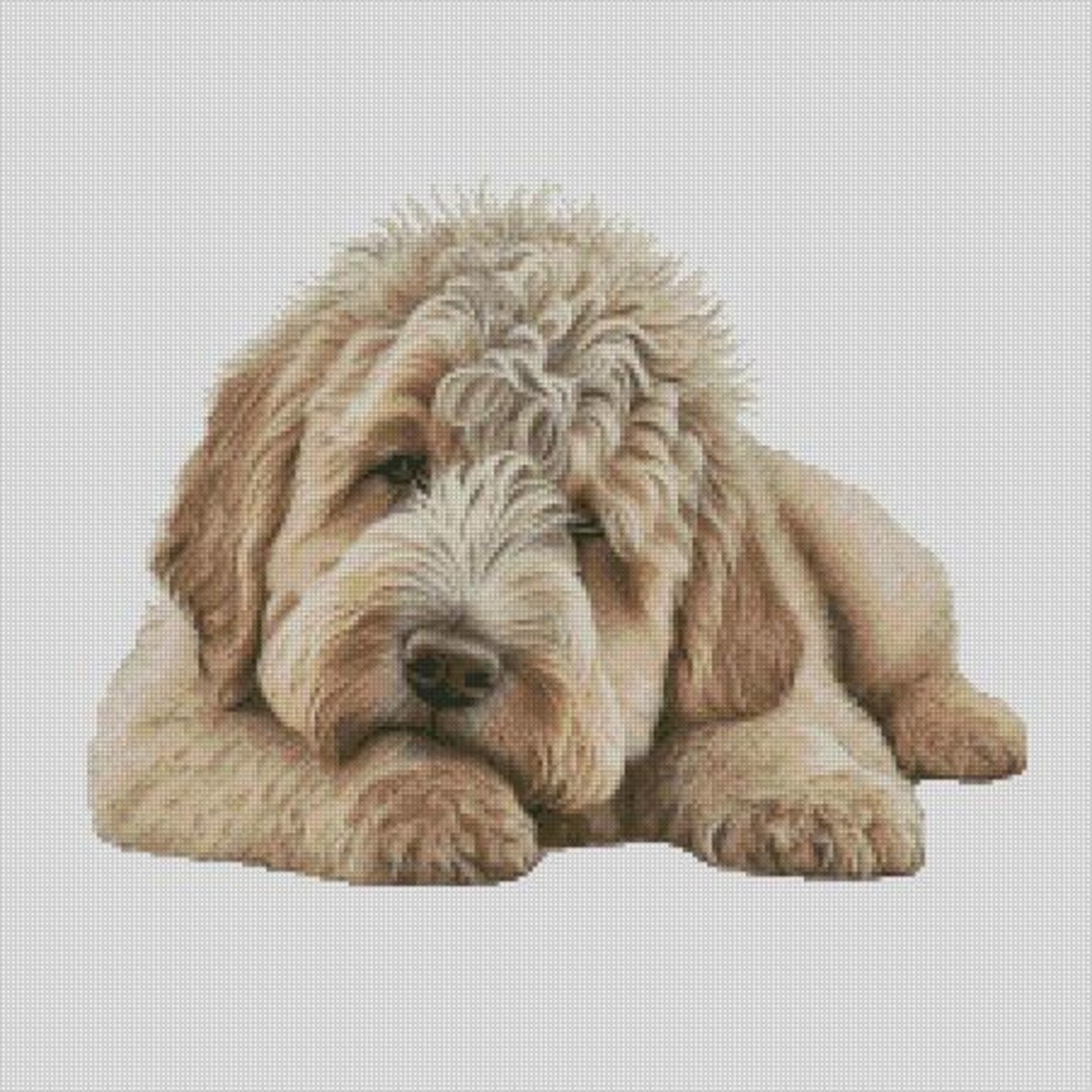 Labradoodle Dog 5 Cross Stitch Chart Instant Download PDF Pattern ...