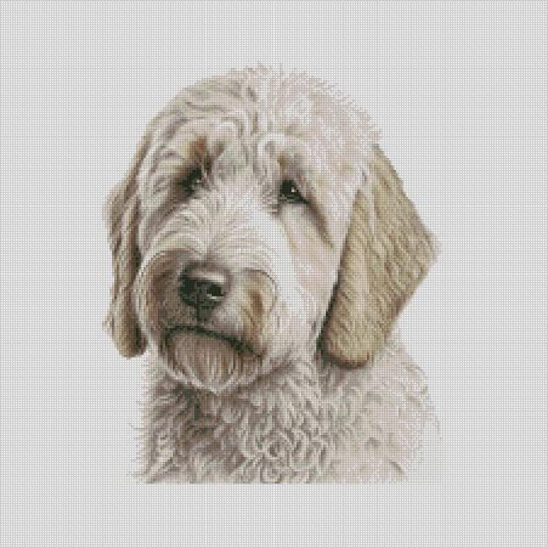 Labradoodle Dog 2 Cross Stitch Chart Instant Download PDF Pattern ...