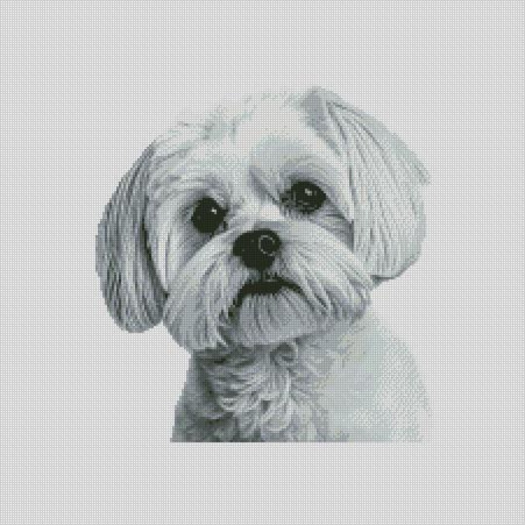 Maltese Dog 1 Counted Cross Stitch Chart or Complete Kit - Etsy