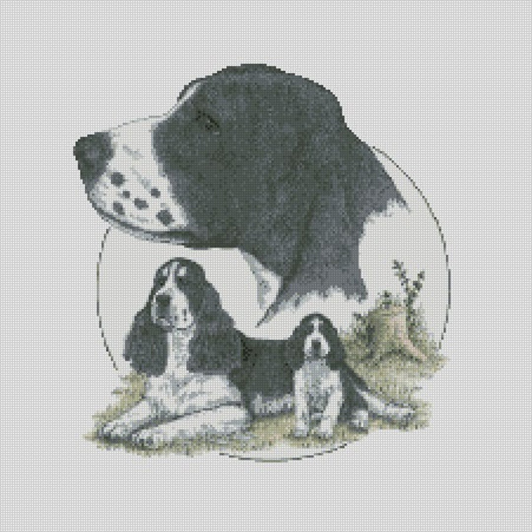 Springer Spaniel Dog Trio Counted Cross Stitch Chart or Complete Kit - Etsy