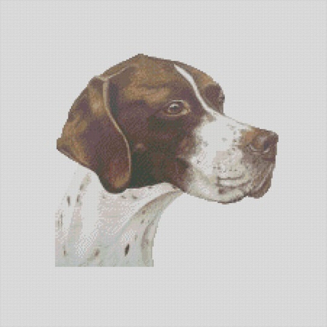Pointer Dog Cross Stitch Chart Instant Download PDF Pattern Keeper ...
