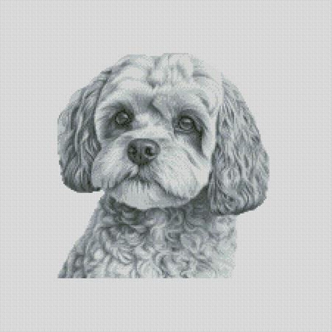 Cavapoo Dog 1 Cross Stitch Chart Instant Download PDF Pattern Keeper ...