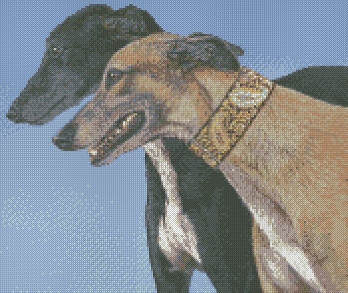 Cross Stitch Chart or Complete Kit Greyhound Dogs Dynamic Duo | Etsy